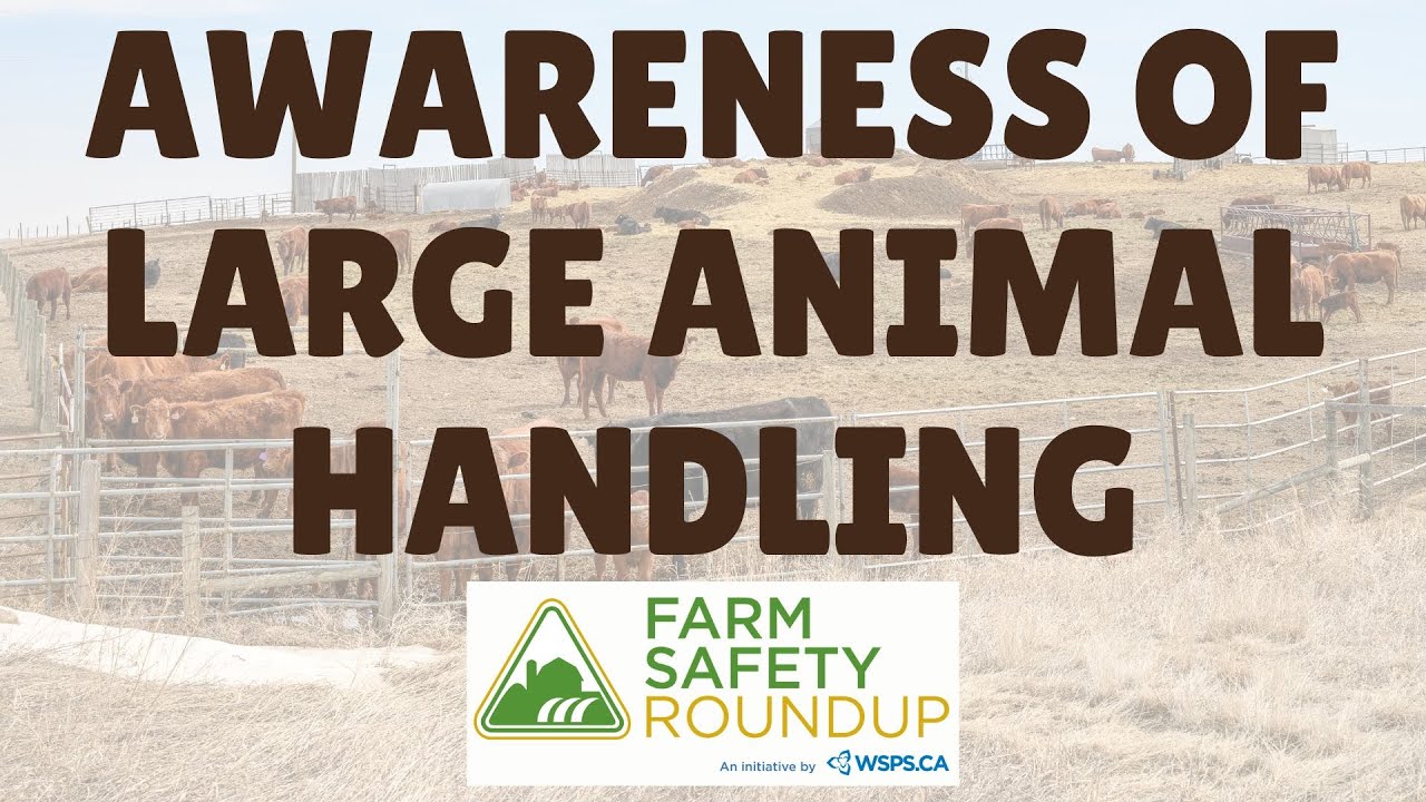 Farm Safety Roundup, Ep. 14: Planning and awareness of large animal ...
