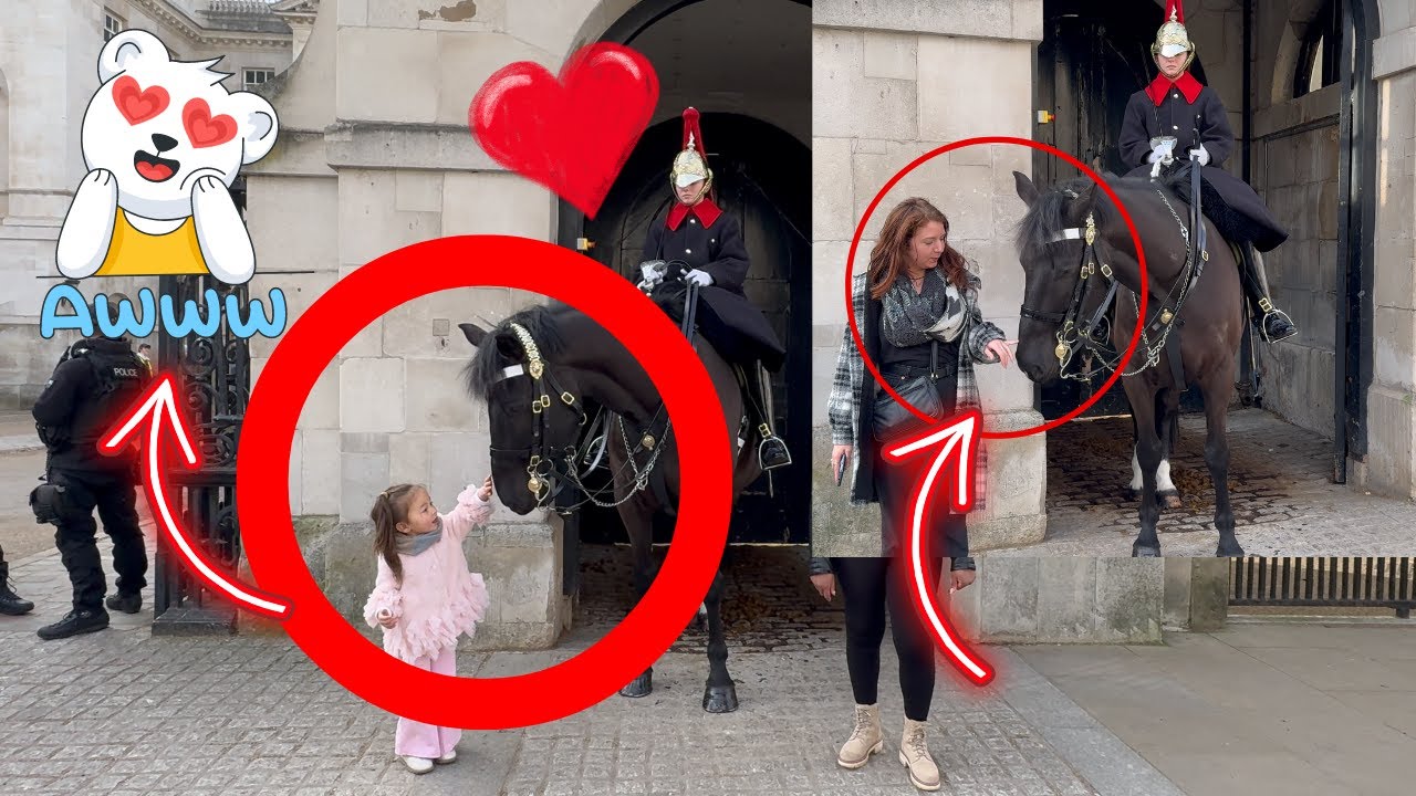 Wow Epic Cute Moments!!!! - YouTube