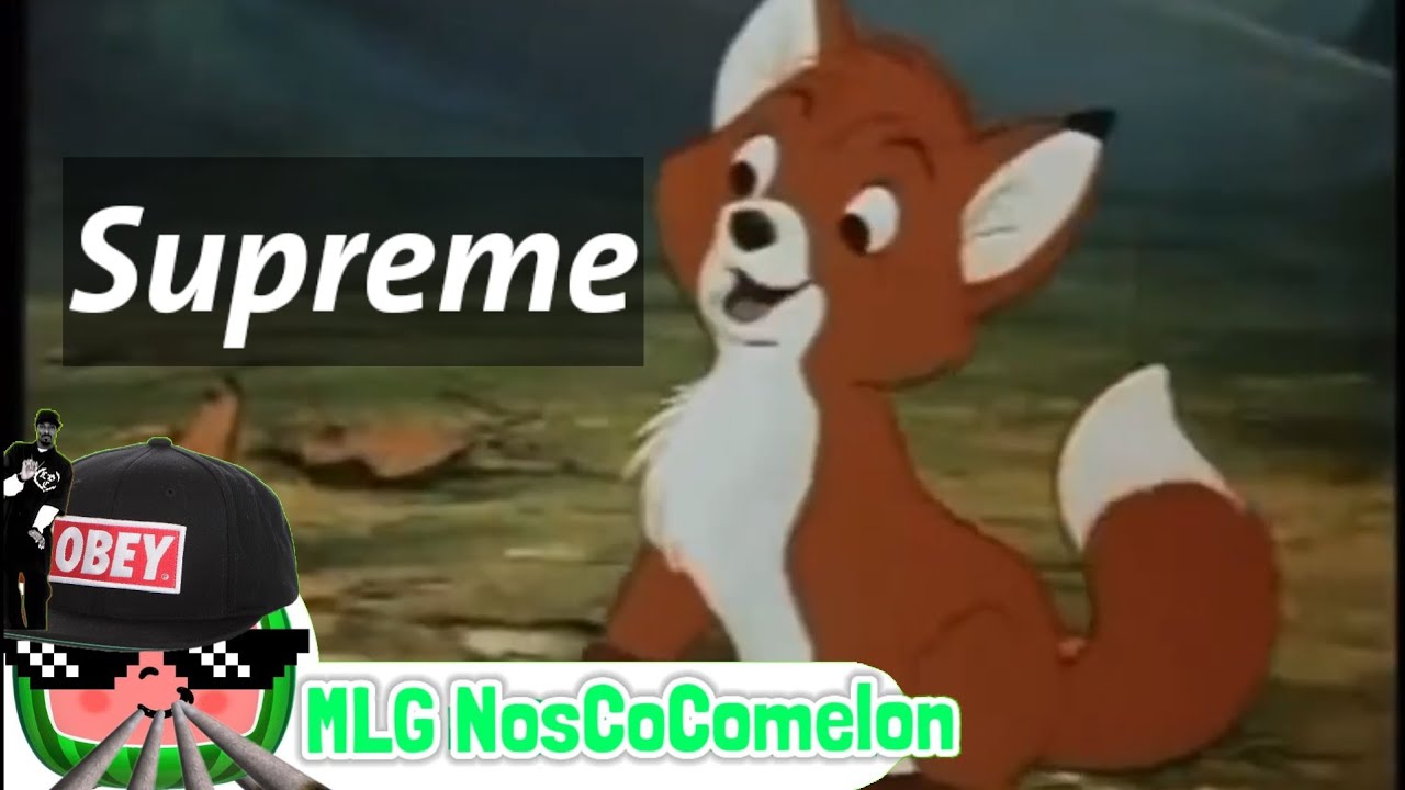 The Fox And The Pouch | MLG NosCoComelon - YouTube