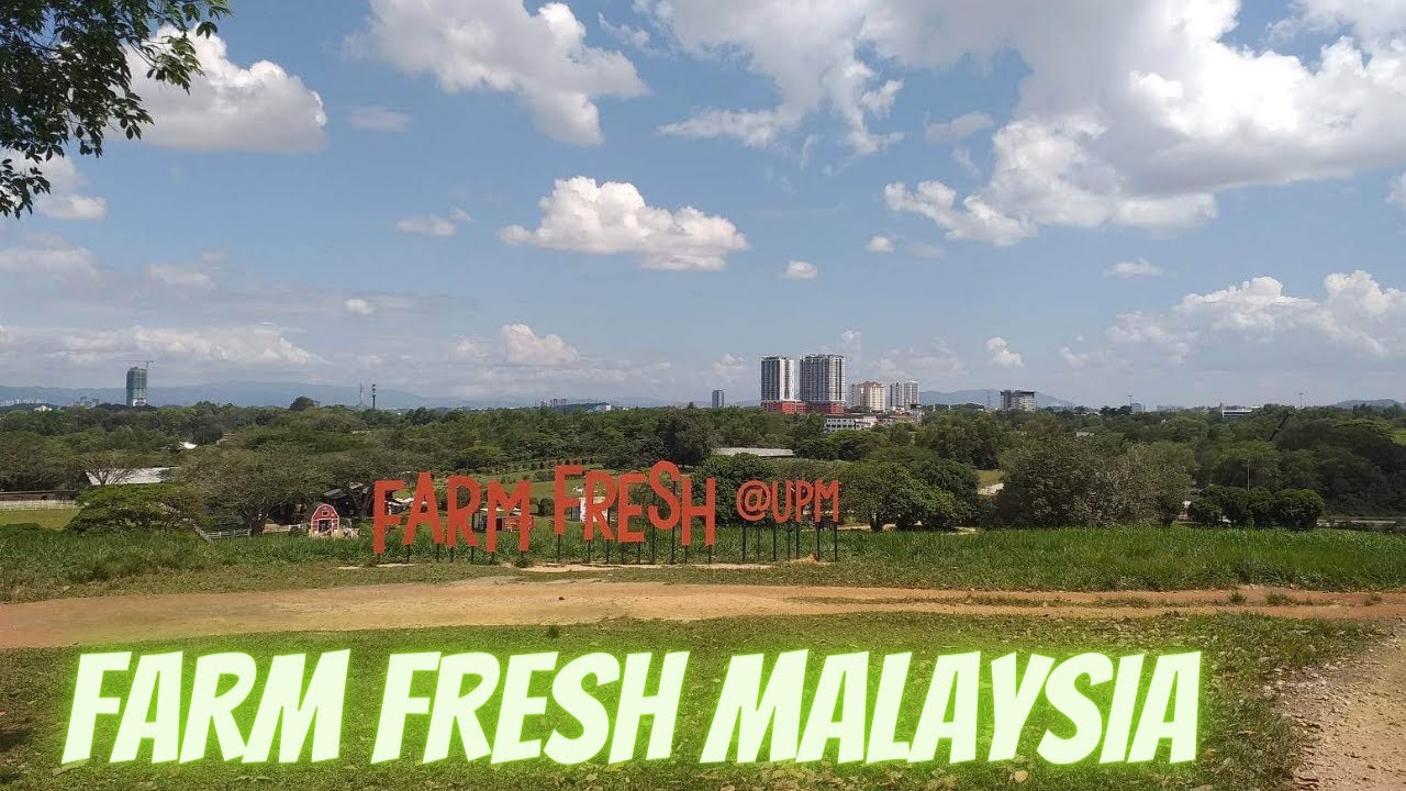 HAVING FUN ON FARM FRESH MALAYSIA #ofwmalaysia - YouTube