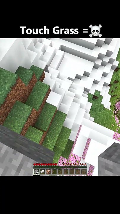 Touch Grass = 💀 in Minecraft Command - YouTube