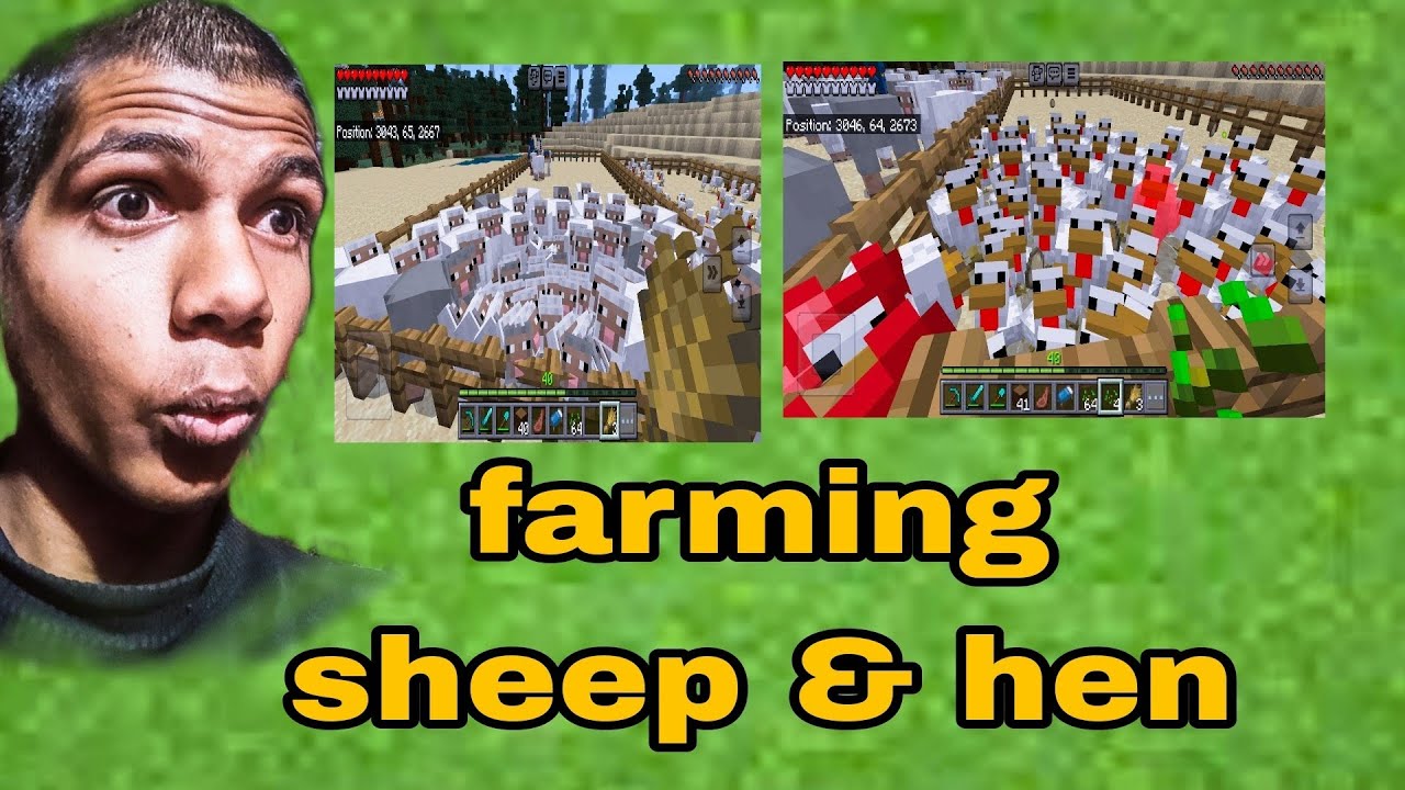 Minecraft Mega Farming: Sheep & Hen Overload | Minecraft - YouTube