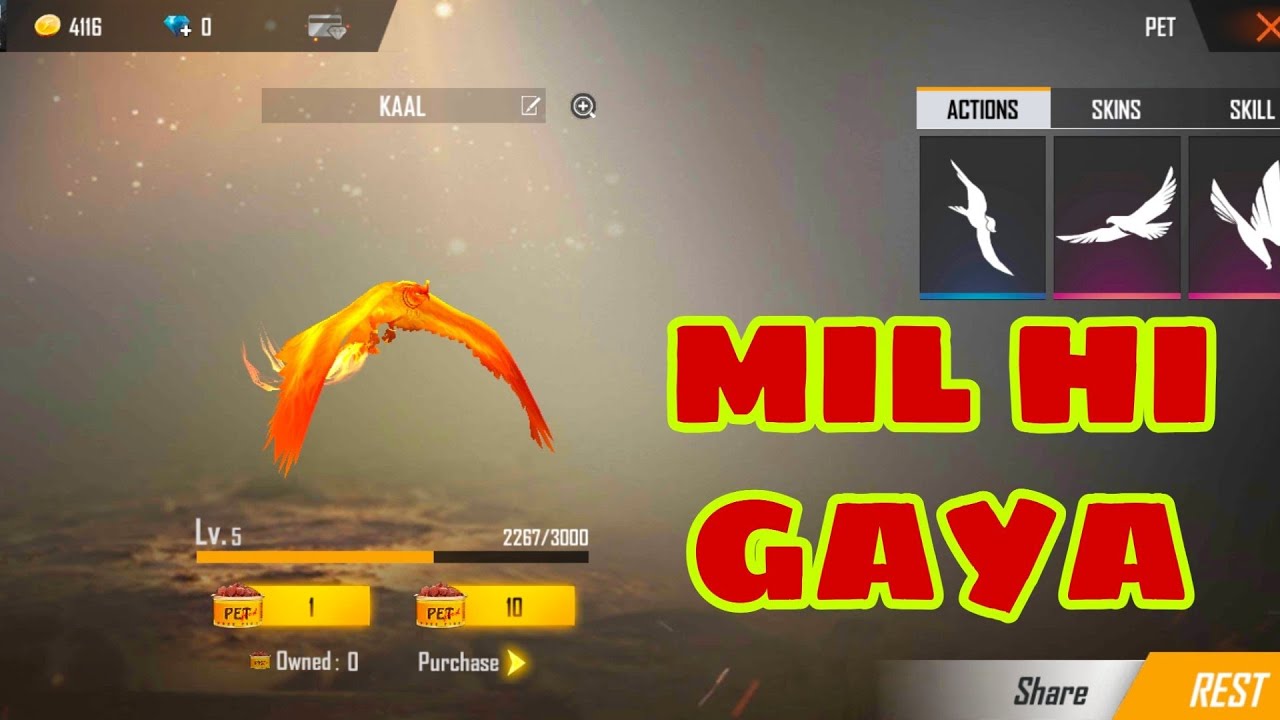 Free Fire New Falcon Pet Mil Hi Gaya Live Gameplay Allgaming - YouTube