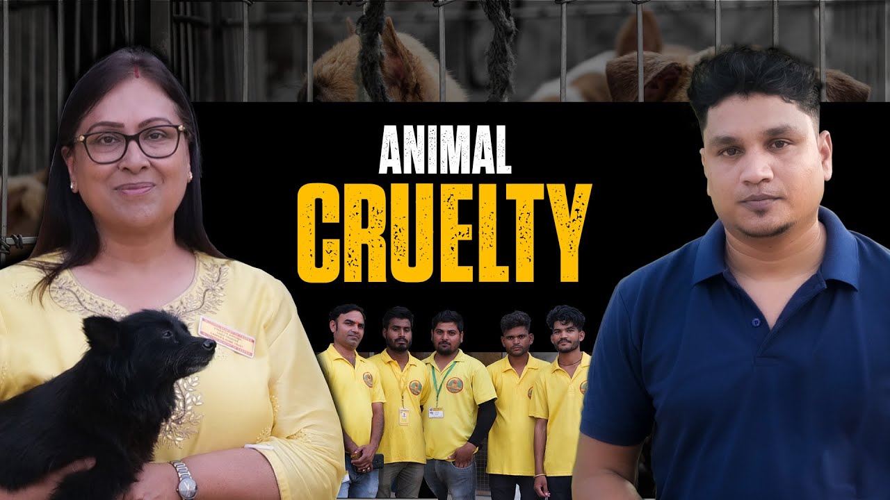 The Most Brutal Case of Animal Abuse | Animal cruelty | Animal activism ...