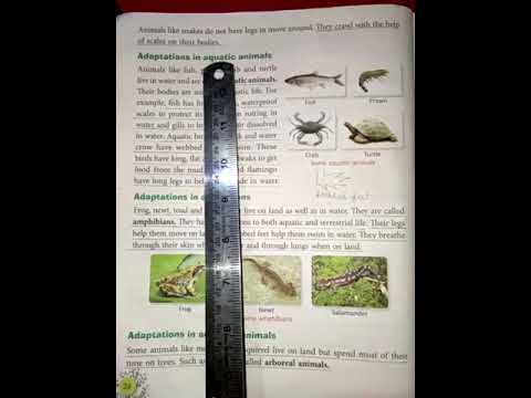 Science for class 4 - Adaptation in aquatic animals, Adaptation in ...