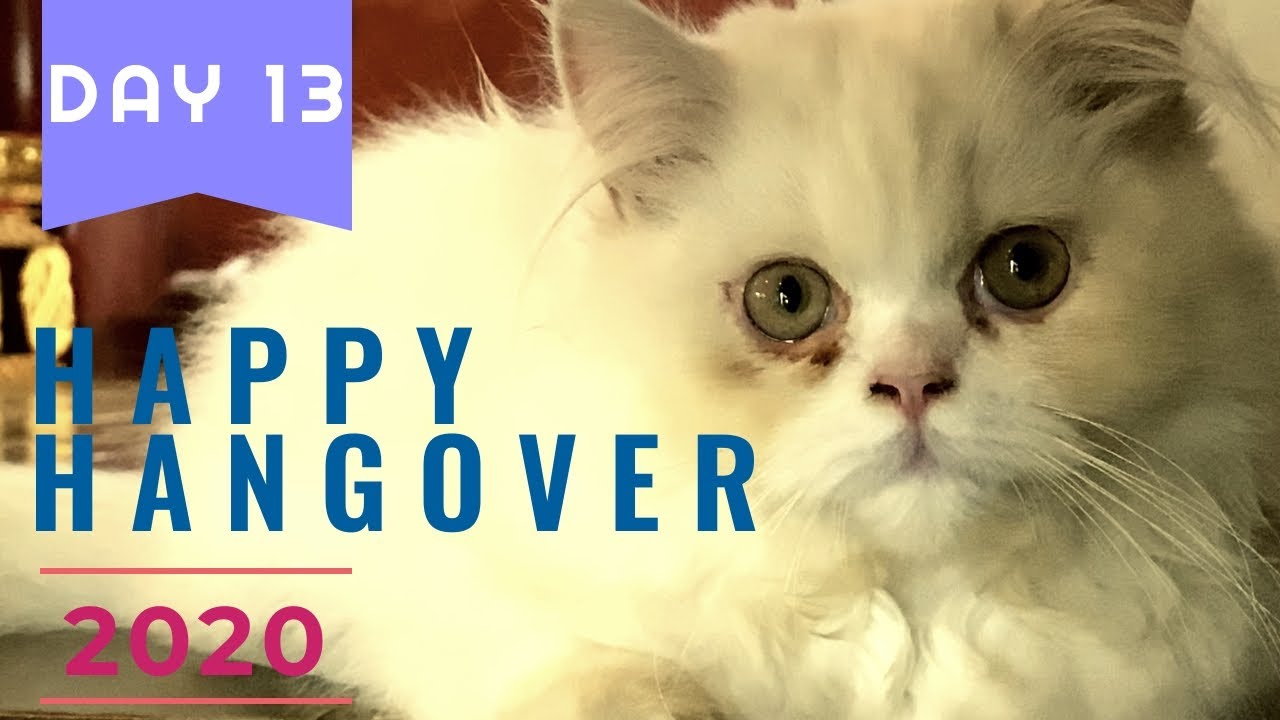 Happy Hangover 2020. Day 13 - YouTube