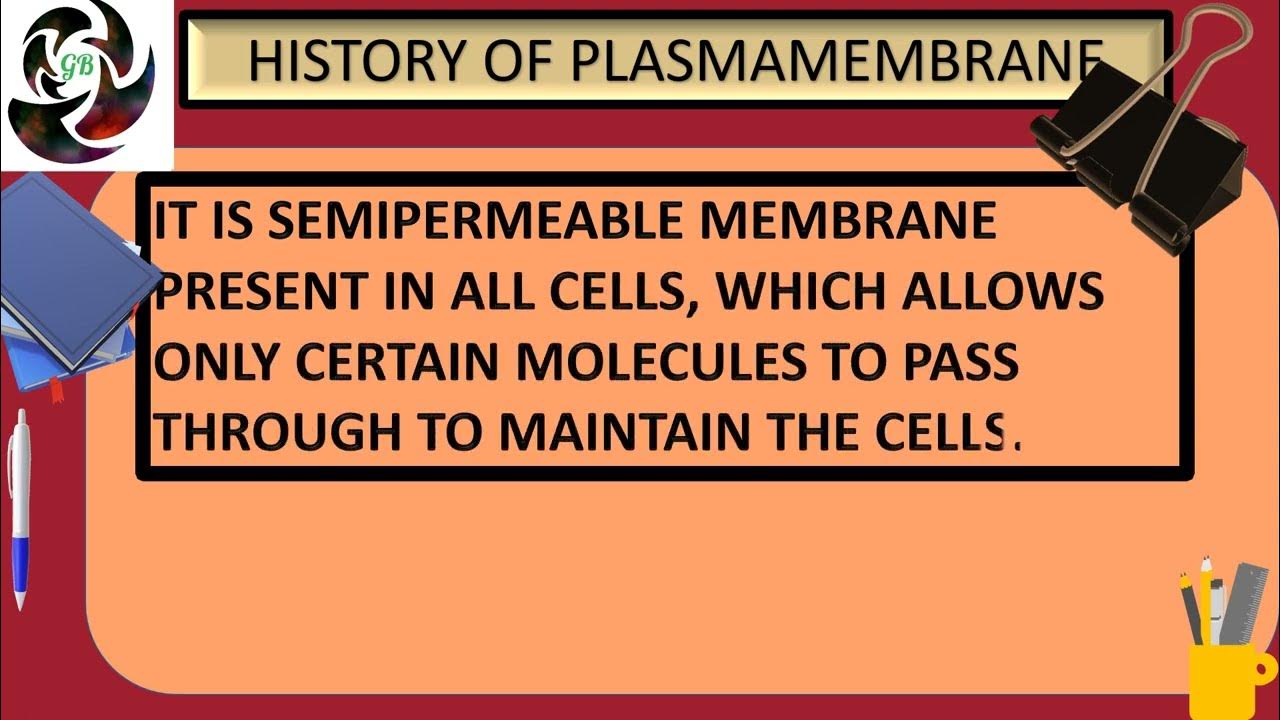 HISTORY OF PLASMA MEMBRANE/HISTORY OF CELL MEMBRANE - YouTube