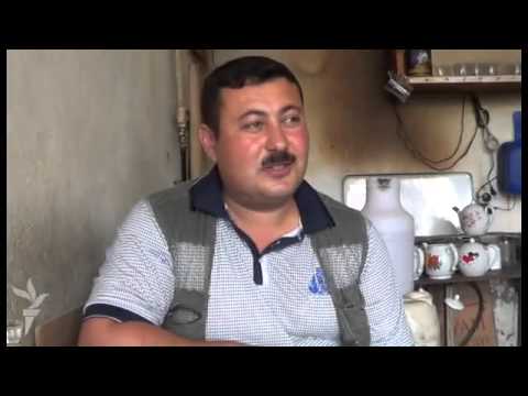 Çayxanada keçən gənclik