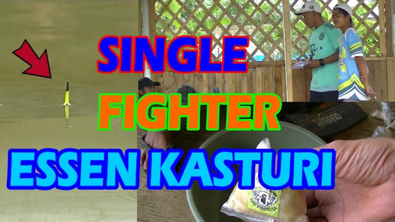 UMPAN IKAN MAS SINGLE FIGHTER ESSEN KASTURI - YouTube