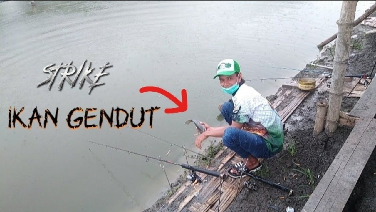Mancing Feat Mas Rizal (IJO BONEK) Di KP TJANDRA FISHING..... - YouTube