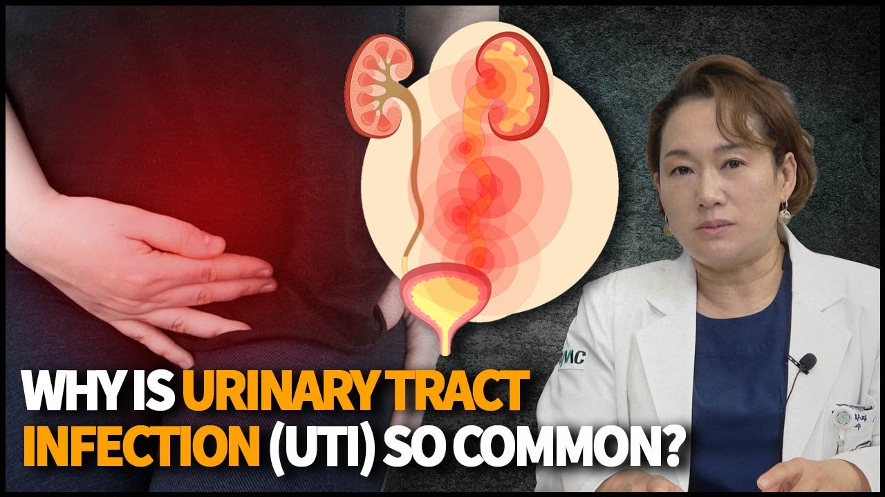 Why is UTI (Urinary Tract Infection) is a common condition for most ...