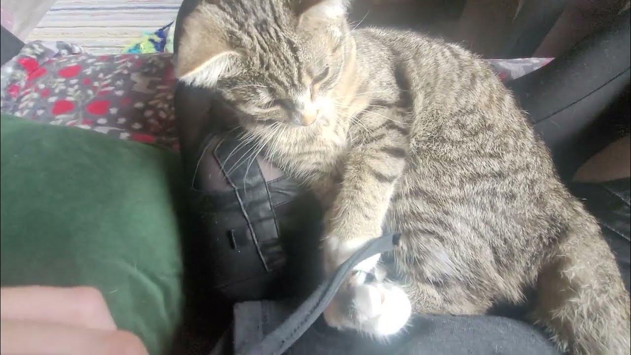 1 minute and 34 seconds of lazy playing :) - YouTube