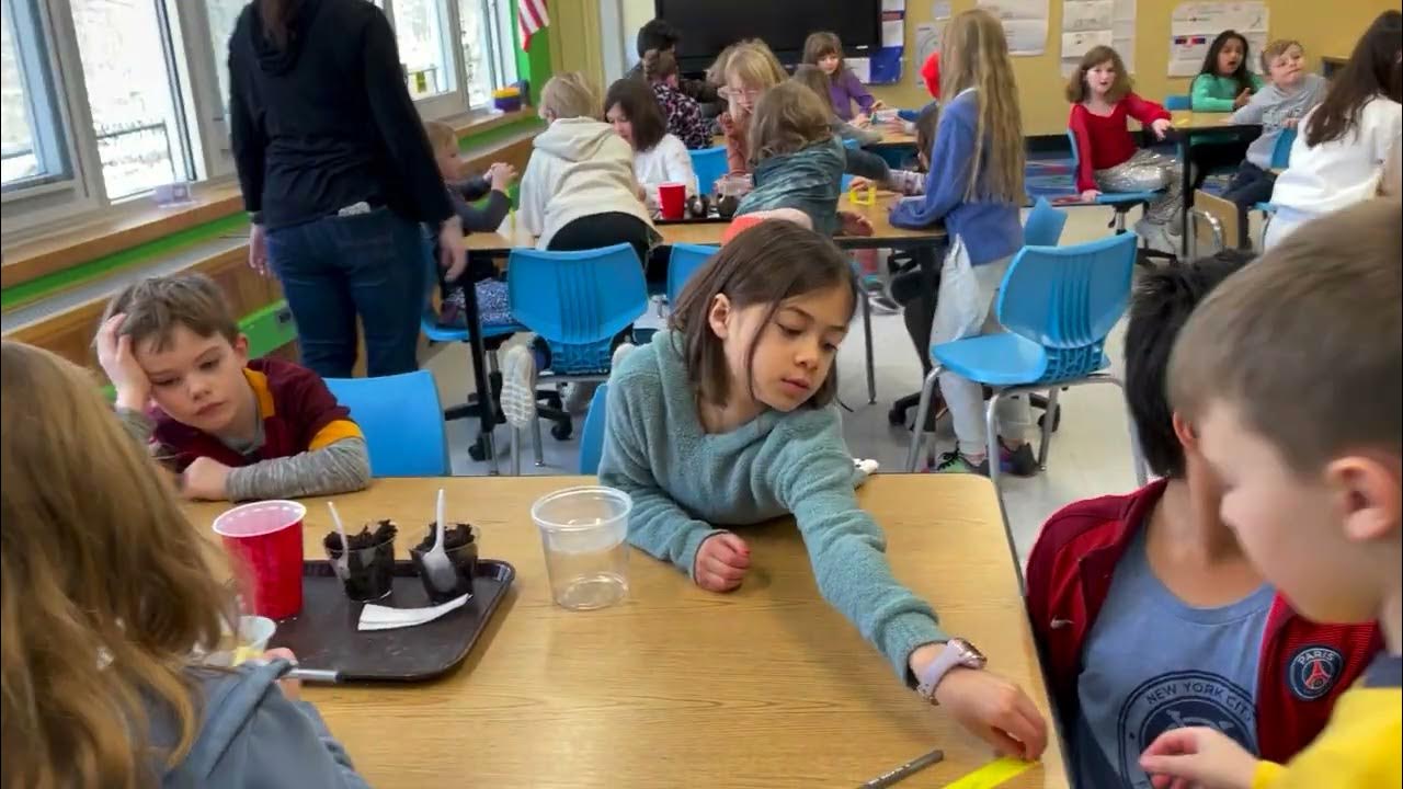 Second Graders Plant Seeds in STEAM - YouTube