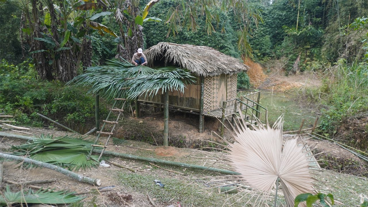 Girl building bamboo house in the forest to survival , hut bushcraft ...