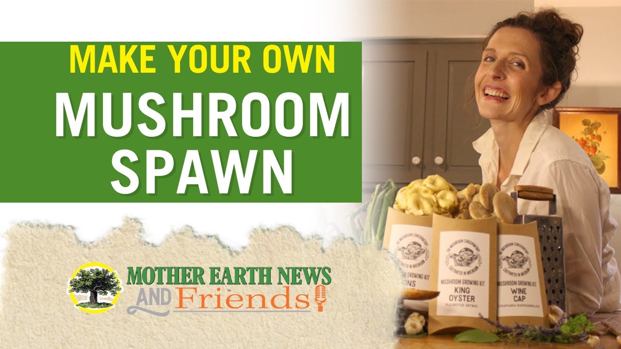 How to Grow Mushrooms: Liquid Culture Recipe - YouTube