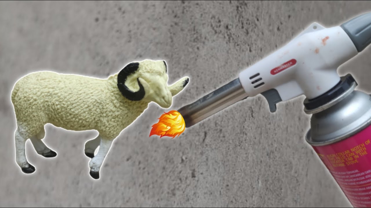 EXPERIMENT : GAS TORCH VS SHEEP - YouTube