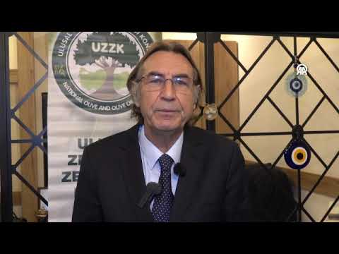 Türkiye'de 2 milyon 450 bin ton zeytin rekoltesi bekleniyor