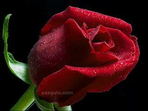 MeLeĞimSiN Sen...(S=G) (A=E)