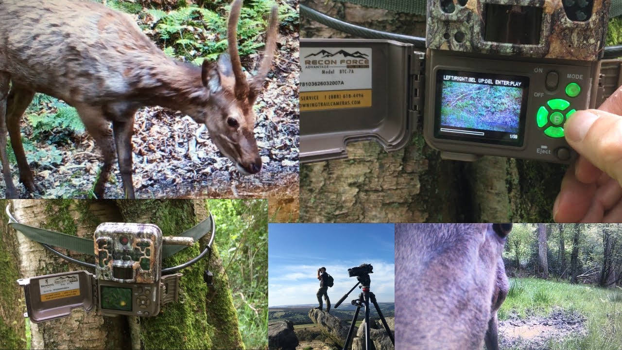 Browning Recon Force Advantage Full HD Trail Camera Used For The First ...