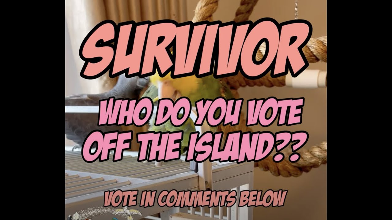 Who Do You Vote Off The Island? 🏝 - YouTube
