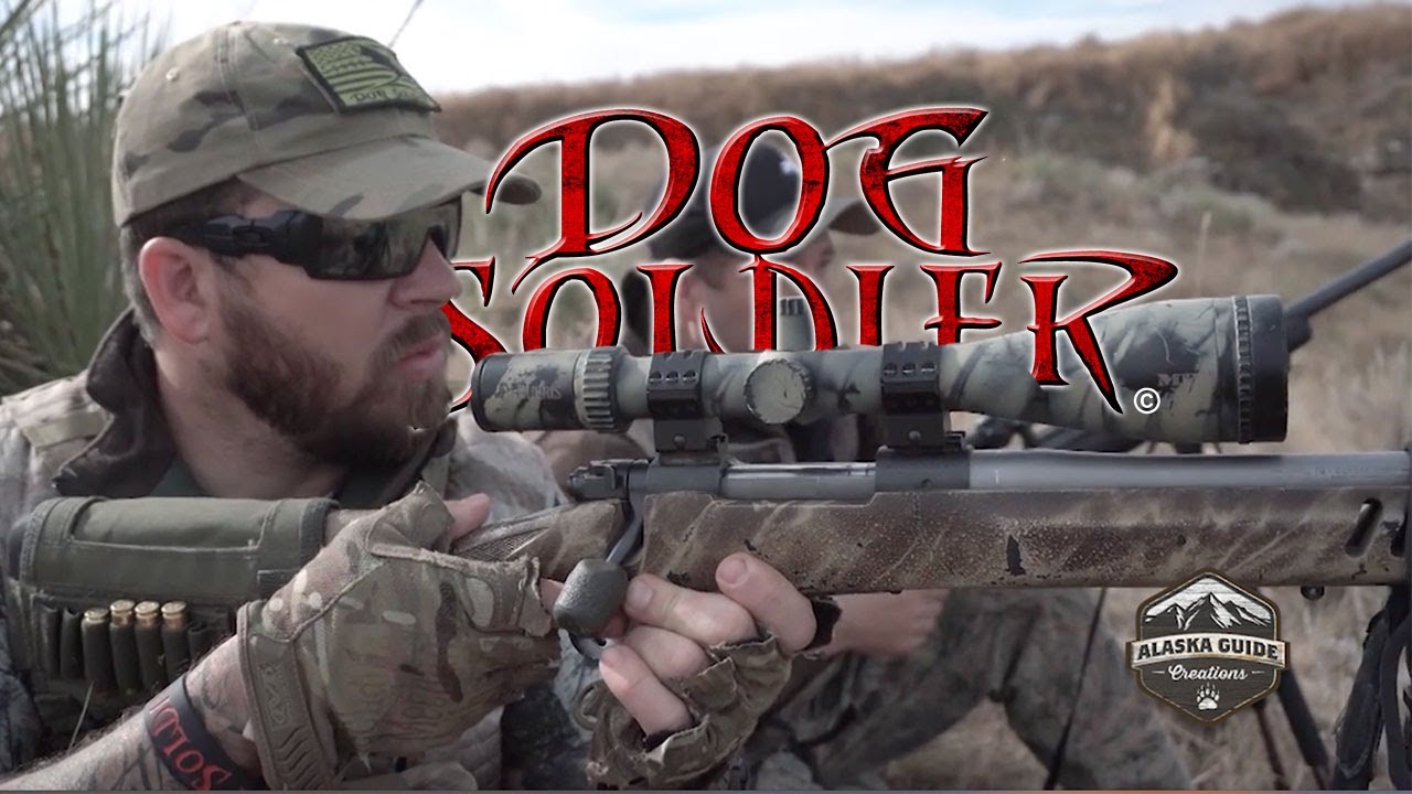 Colorado coyotes Lesson learned- Coyote Hunting and Predator Calling at ...
