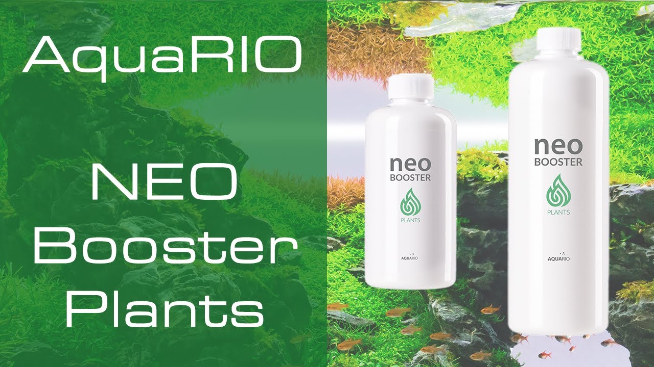 AquaRIO NEO Booster Plants 🌱☘️ Una fuente natural de carbono orgánico ...