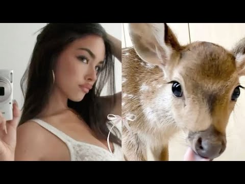 Madison Beer Face CC 💉🎀 (1X)，ℰ𝒳𝒫.