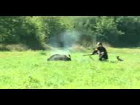 δημητρης αγριογουρουνα - YouTube