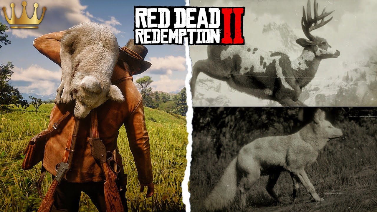 RDR 2 - Hunting All LEGENDARY Animals PART-2 (Location & Clues) - YouTube