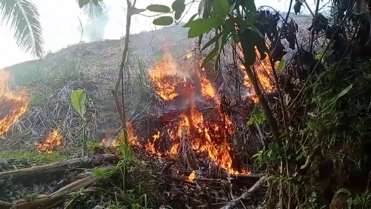 Kaingin is real - YouTube