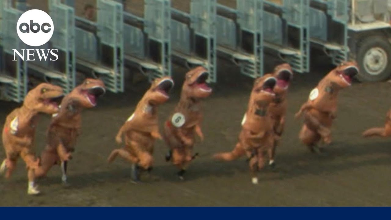 Funniest race ever? | WNN - YouTube