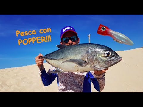 Pesca! - Día con grandes capturas - YouTube