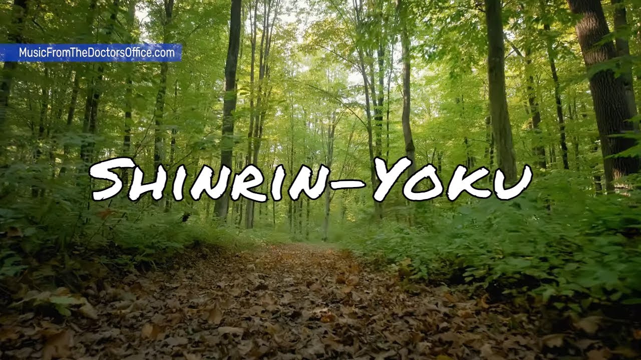 Shinrin-Yoku | Music From the Doctor's Office, Room 104 - YouTube