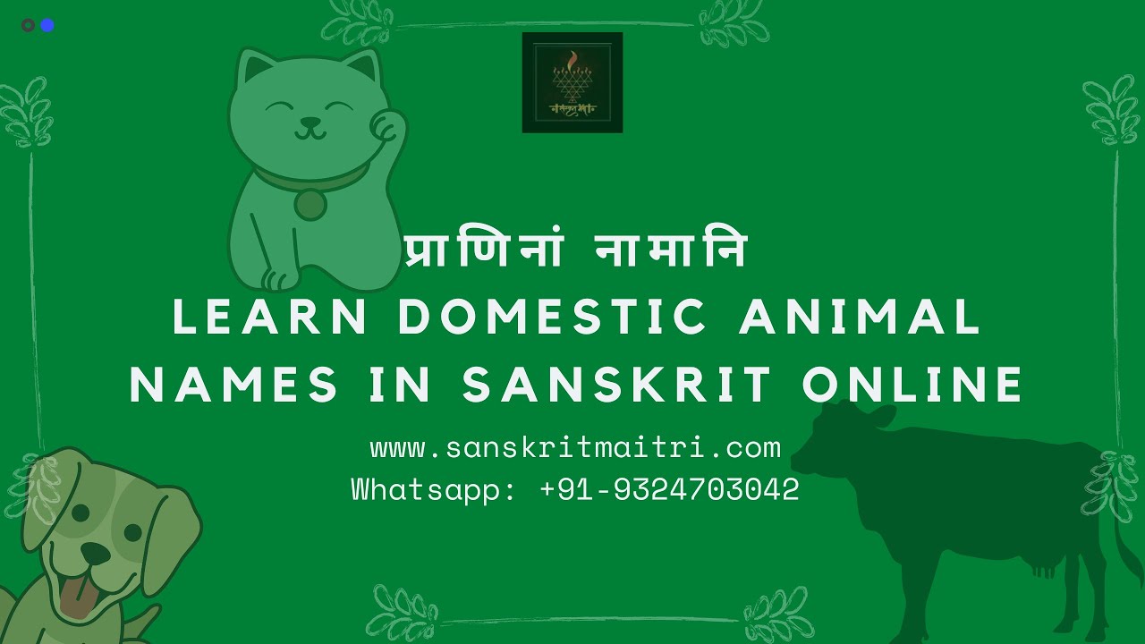 Learn Domestic Animals names in sanskrit. प्राणिना: । - YouTube