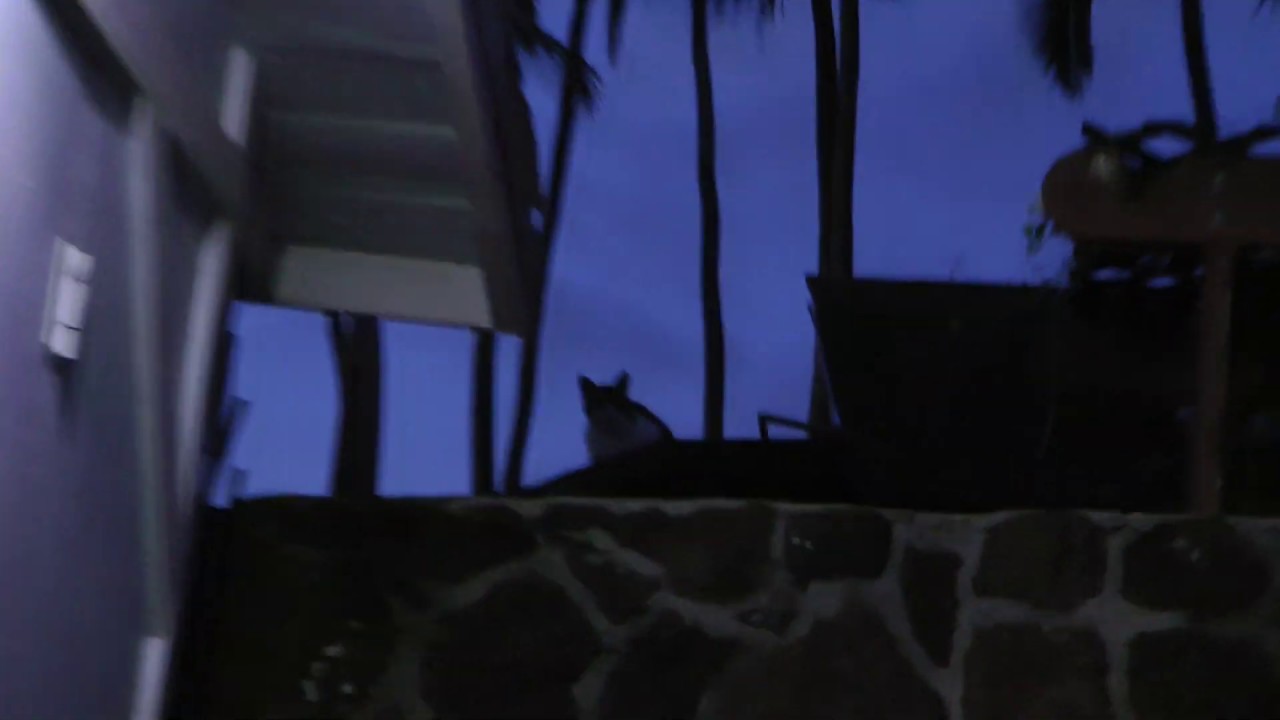 Da dada da da da da daaaaaa..... DA DADA DA DA DA DA - YouTube