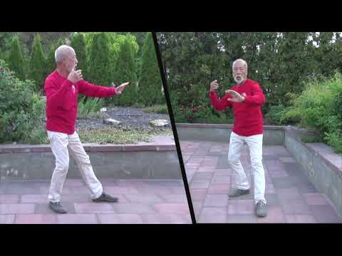 108 moves Moy TaiChi set - Move #11 Brush Knee