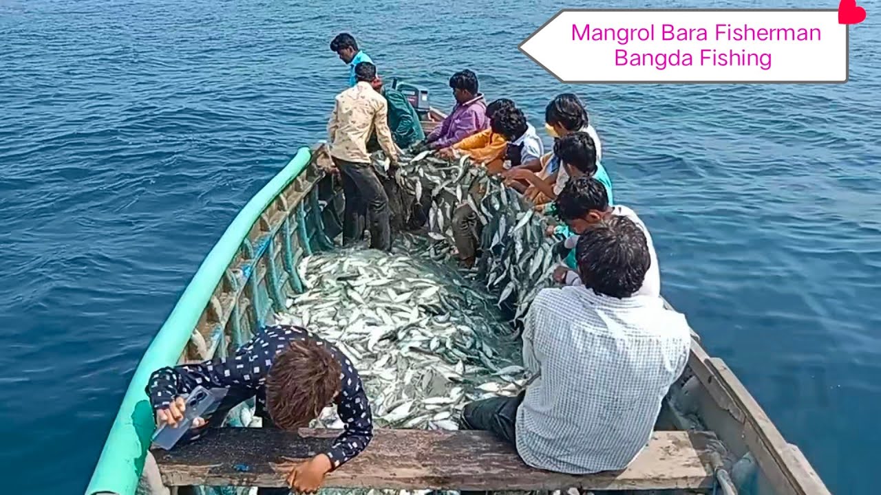 Mangrol Bara Fisherman Bangda Fishing - YouTube