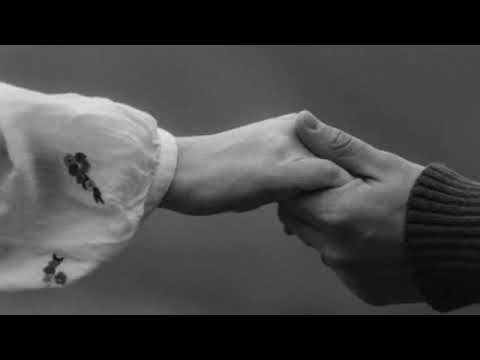 Elvina Heydərova-Soyuq Günəş🎶🎵