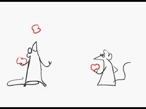 Juggling Rat / Плъх жонглира - YouTube