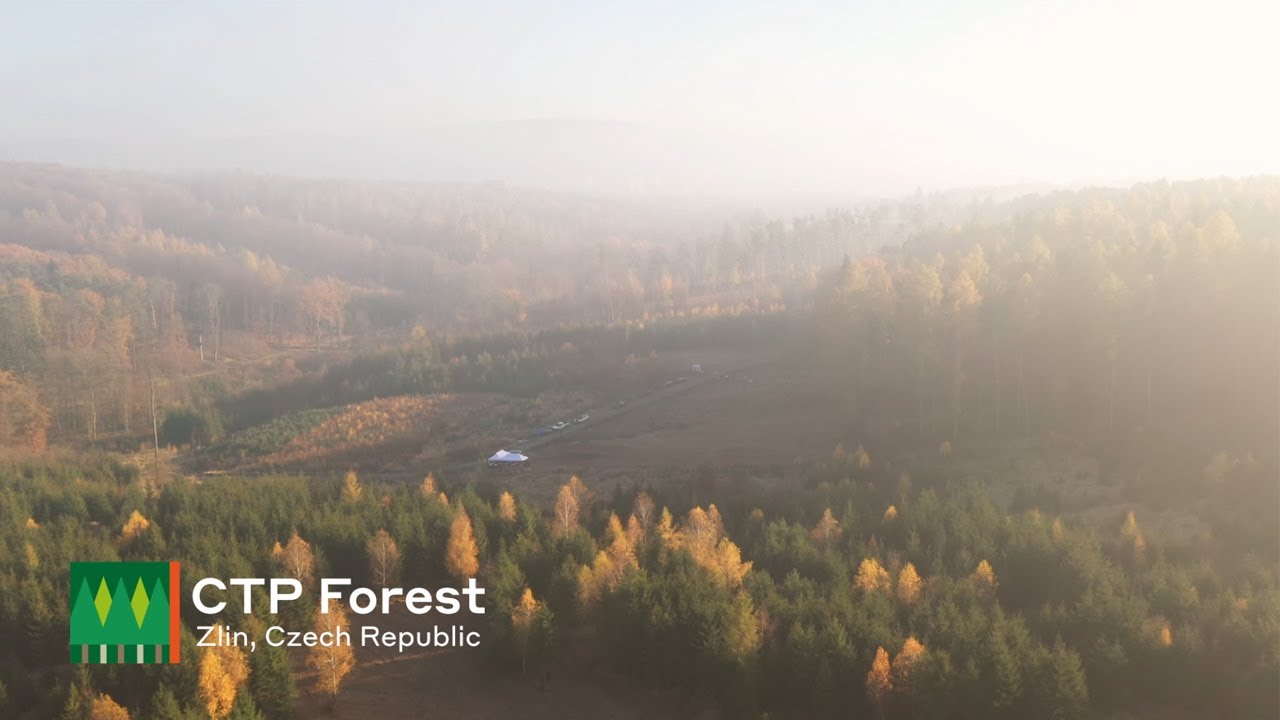 CTP Forest Zlín Tree Planting - YouTube