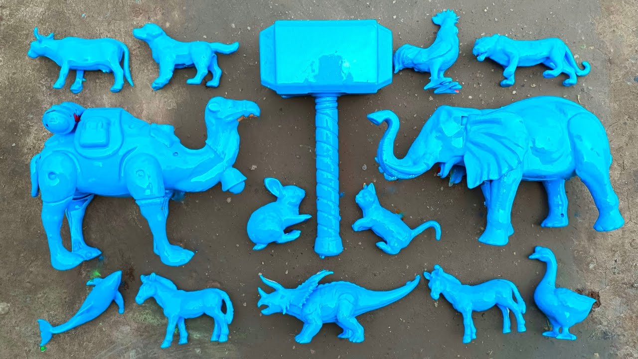 Membersihkan hewan sapi, bebek, angsa, ayam, gajah, kelinci, kucing ...