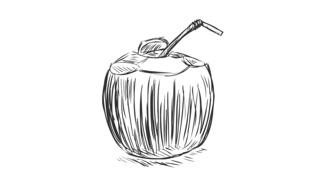 How to Draw a Coconut | Sketch Drawing of a Coconut - YouTube