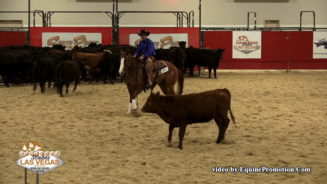 SJR Reygun ridden by Brady E. Weaver - 2017 NRCHA Stallion Stakes ...