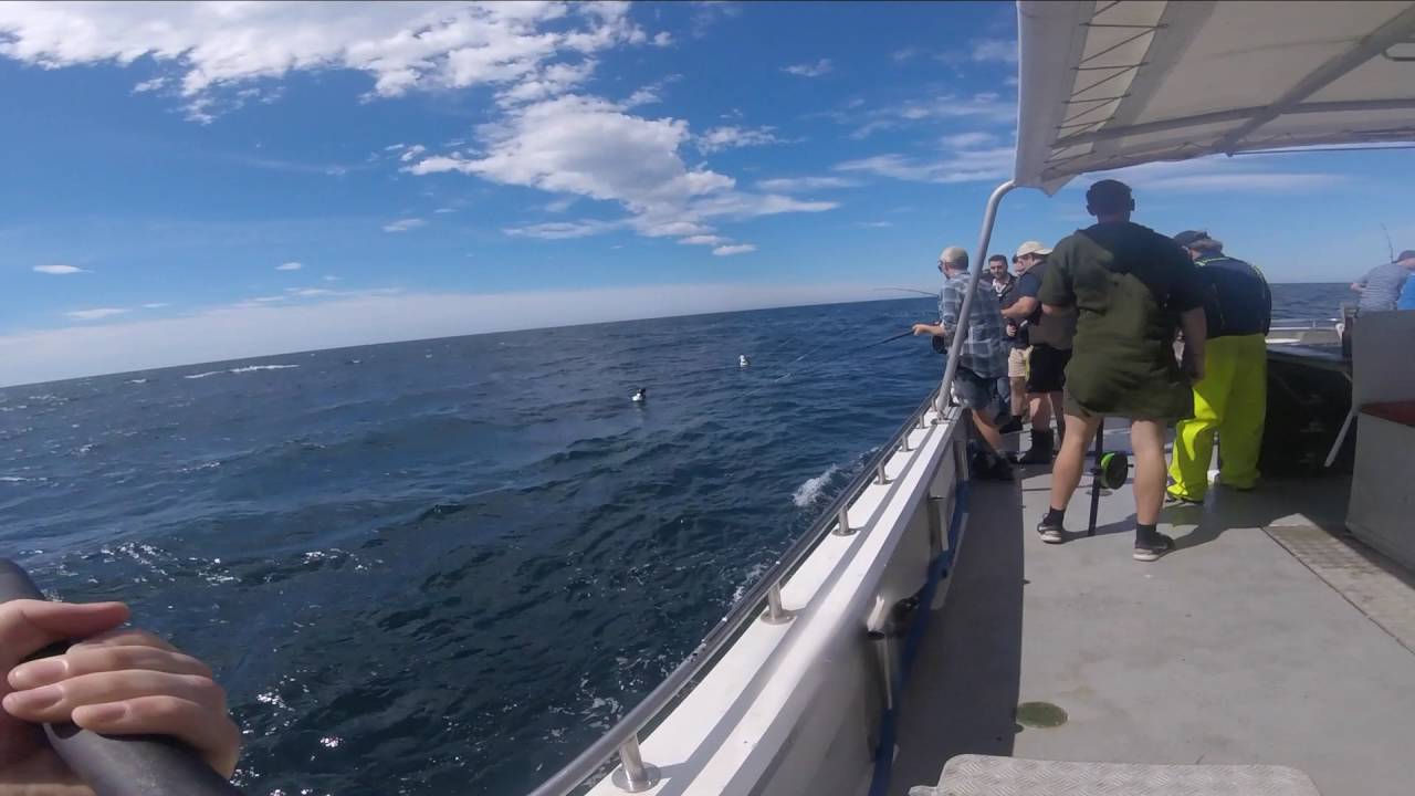 Moeraki Fishing 2016 - YouTube