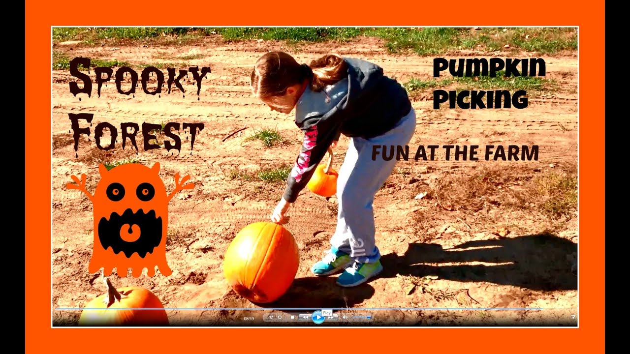 Spooky Haunted Forest Tractor Ride & Pumpkin Picking Fun At The Farm ...