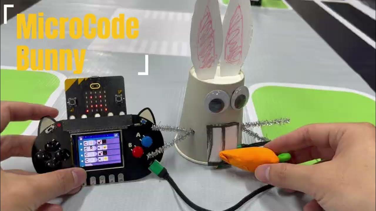 MicroCode Bunny-How to make a sad bunny happy? - YouTube