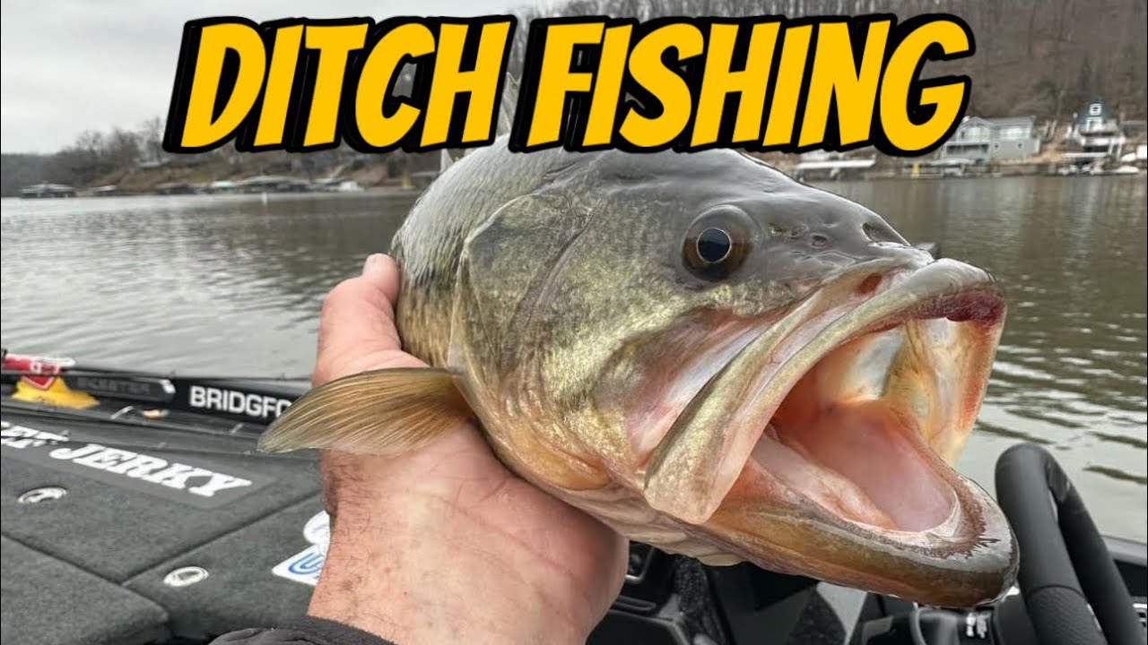 How And When To Fish “Ditches”.., - YouTube