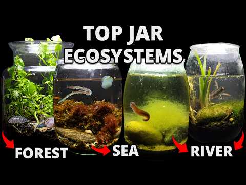 I Put Rivers, Seas and Forests in Jars, Months Later THIS Appeared (Top 2025!)