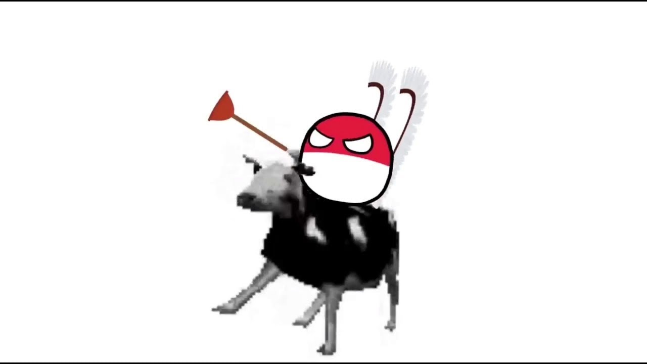 osu polish cow - YouTube