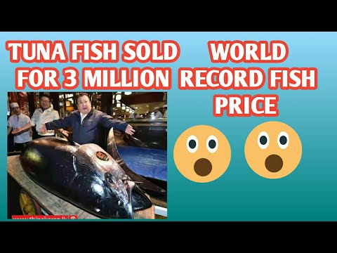 japan's sushi king pays record price for bluefin tuna | 3M price tuna ...
